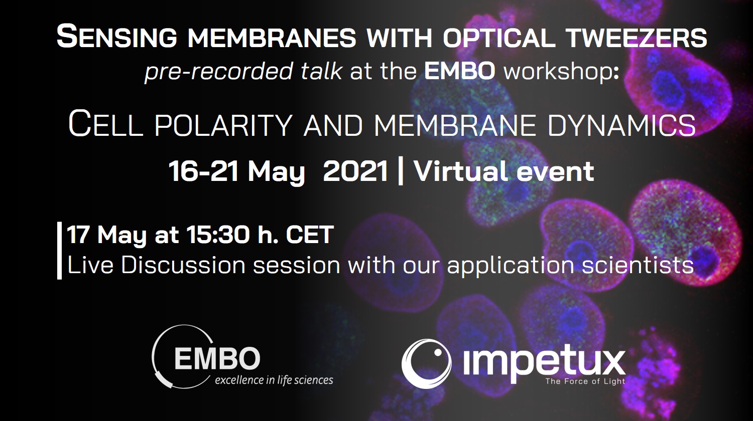 Sensing Membranes with Optical Tweezers | EMBO Workshop - Impetux