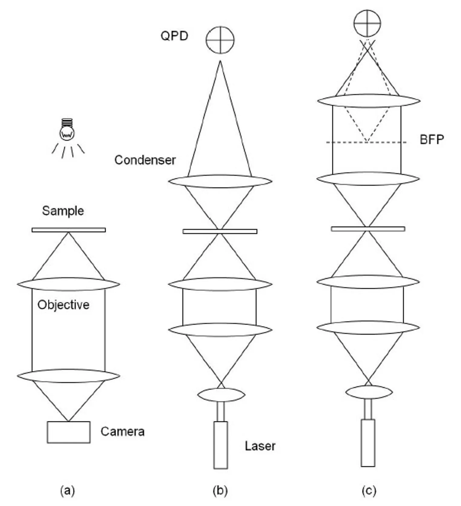 Optical Tweezers Tutorial